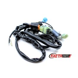 035-400080-000 MAIN ELECTRIC WIRING